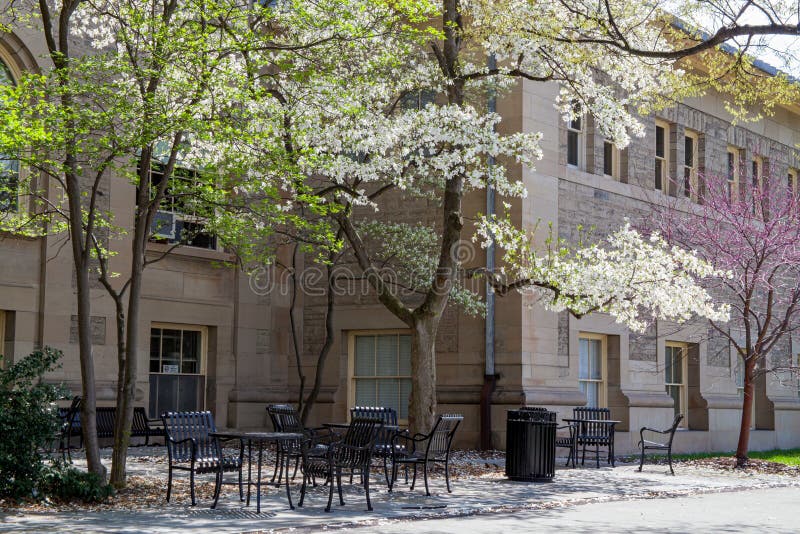Deserted Spring Cafe at Cornell University Stock Photo - Image of ...