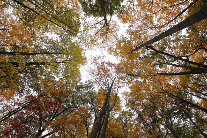 Cold Spring Harbor State Park Stock Photos - Free & Royalty-Free Stock ...