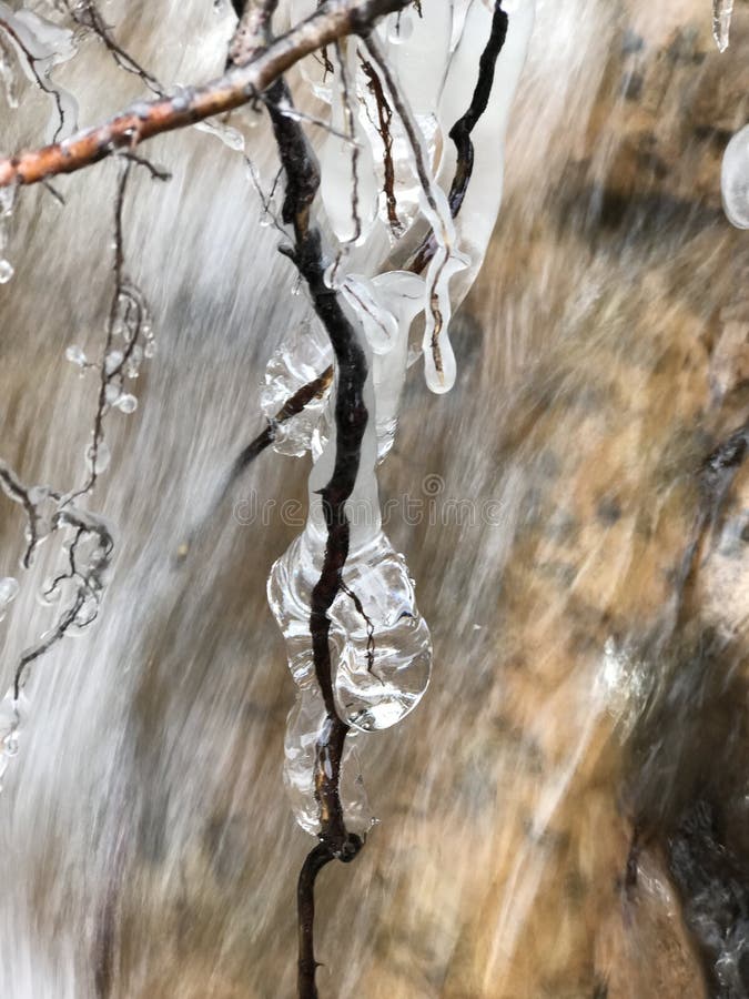 Cold Spring in Latvia. April 2017 Stock Image - Image of trunk, tree ...