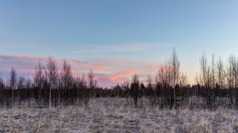 Cold spring morning stock image. Image of grass, forest - 103215903