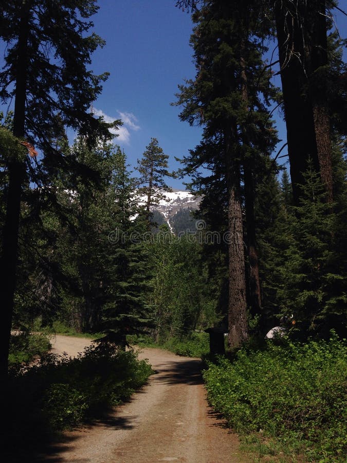 Cold Springs stock image. Image of wilderness, grass - 94991565