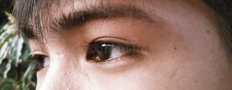 Cold Stare with Pure Brown Eyes Stock Image - Image of brown, cold ...