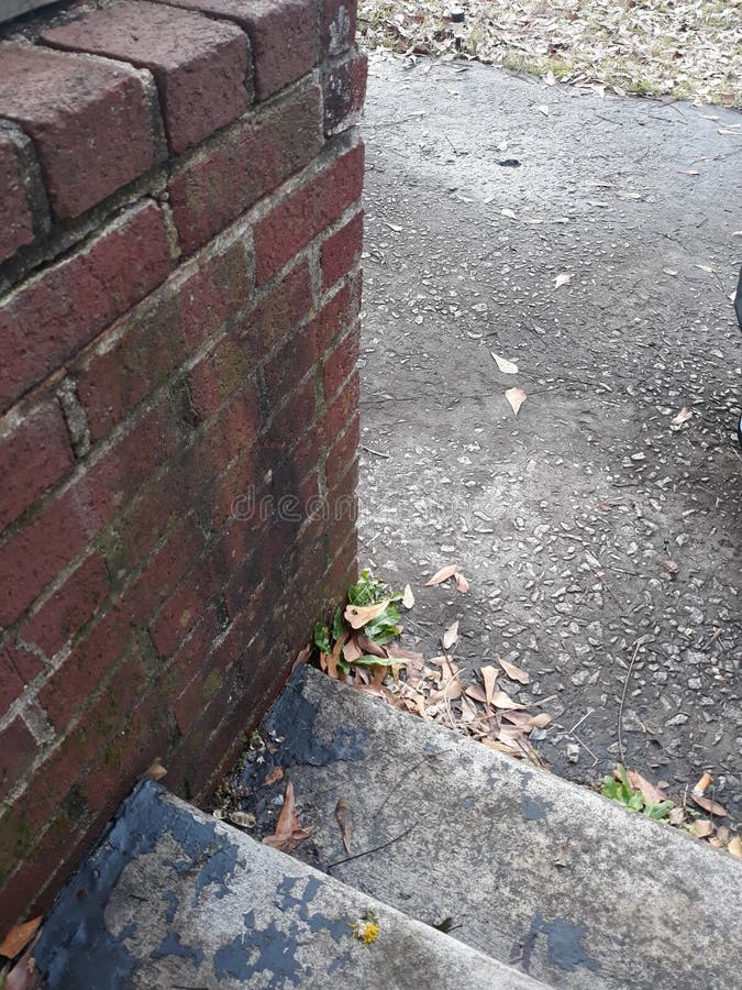 Cold Step stock image. Image of cold, concrete, step - 138683527