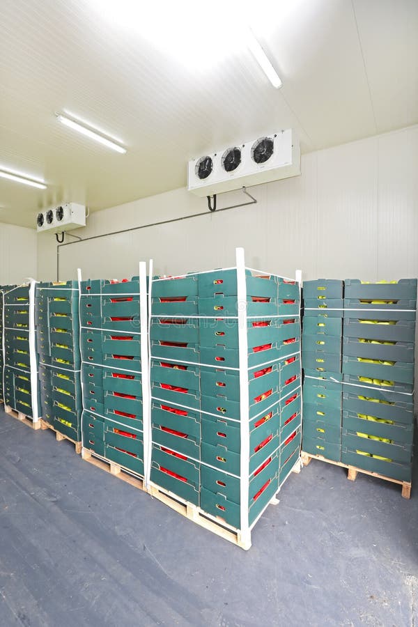 Cold Storage Pallets stock photo. Image of produce, fruits - 191414530