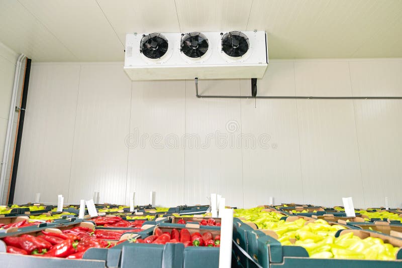 Cold Storage Boxes stock photo. Image of boxes, crates - 186537664