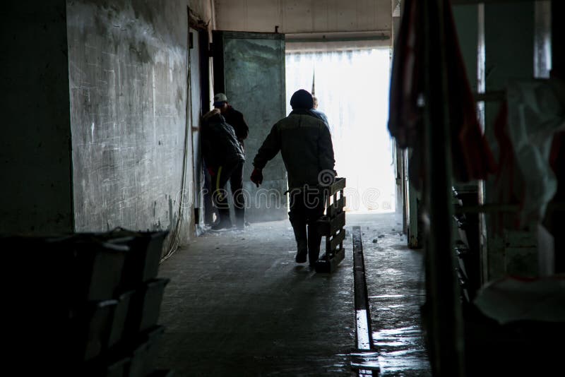 176 Cold Store Workers Stock Photos - Free & Royalty-Free Stock Photos ...