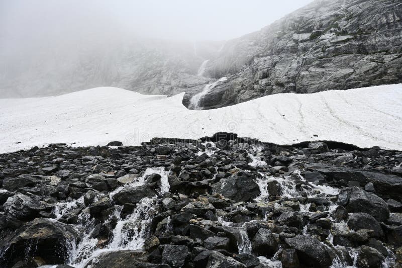 Cold Stream Log stock photo. Image of rocks, limbs, natural - 174739994