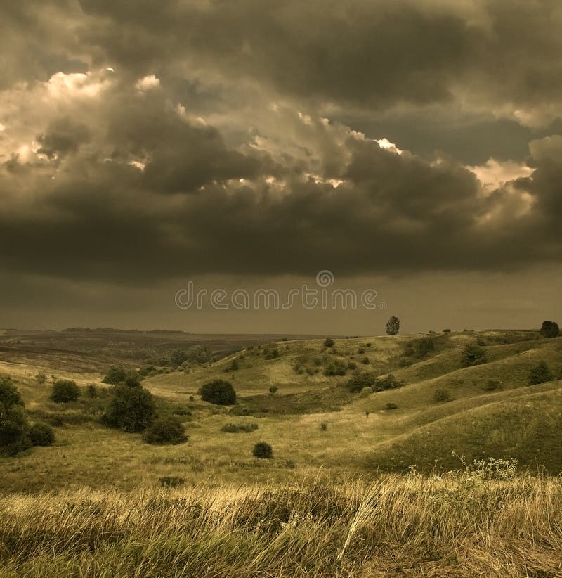 Cold summer stock image. Image of wind, grass, horizon - 11824675