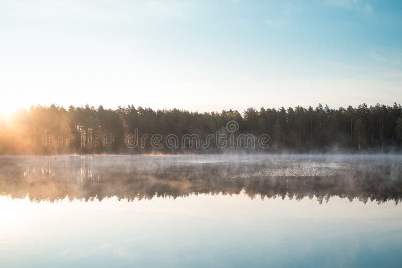 Cold Summer Morning in the Forest with Lake, Forest Reflection and Mist ...