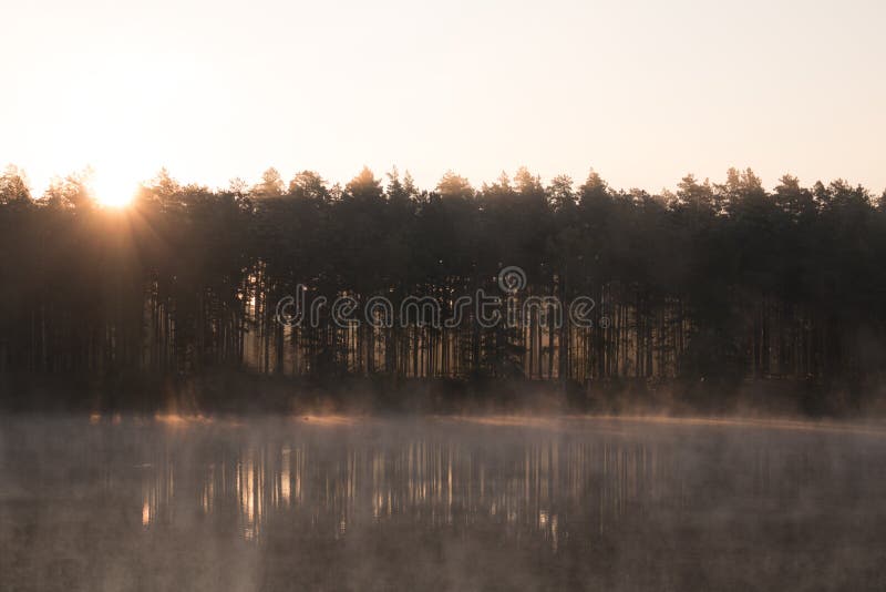 Cold Summer Morning in the Forest with Lake, Forest Reflection and Mist ...