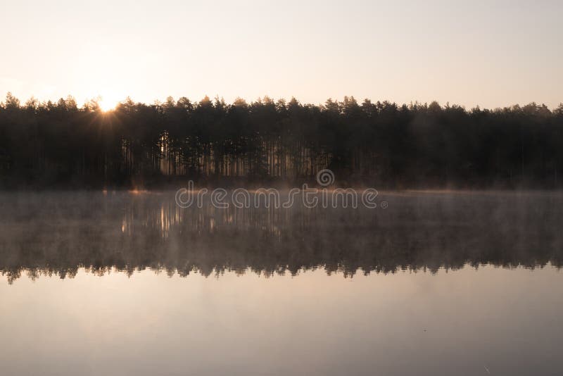 Cold Summer Morning in the Forest with Lake, Forest Reflection and Mist ...