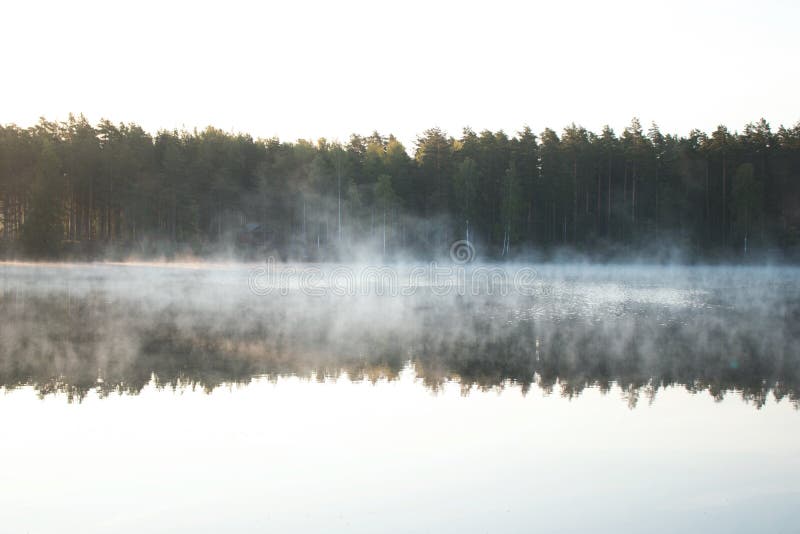 Cold Summer Morning in the Forest with Lake, Forest Reflection and Mist ...