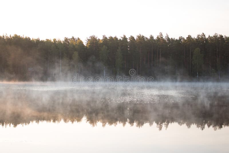 Cold Summer Morning in the Forest with Lake, Forest Reflection and Mist ...