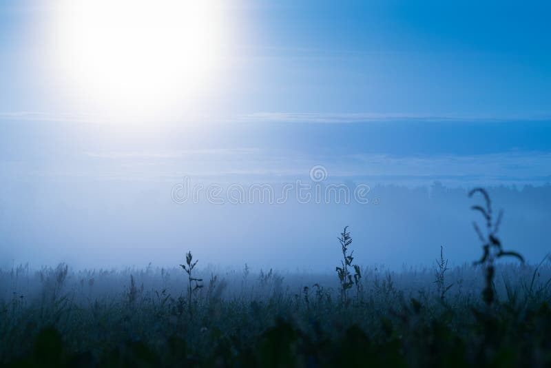Cold sunrise over meadow stock photo. Image of clouds - 56858582