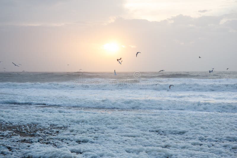 Cold Sunset at the Beach with Sea Foam,Denmark Stock Photo - Image of ...