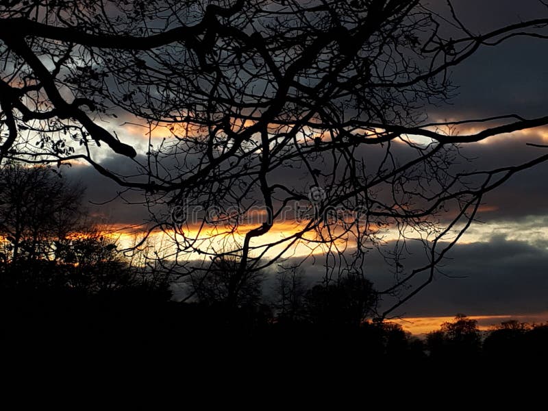 A Cold Sunset stock image. Image of cold, trees, sunset - 104954467