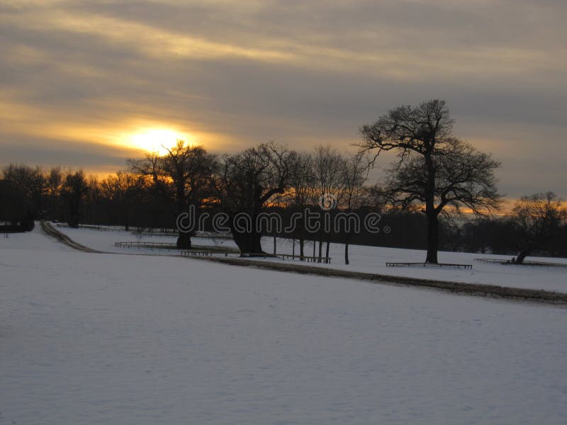 A Cold Sunset stock photo. Image of trees, sunset, cold - 105799934