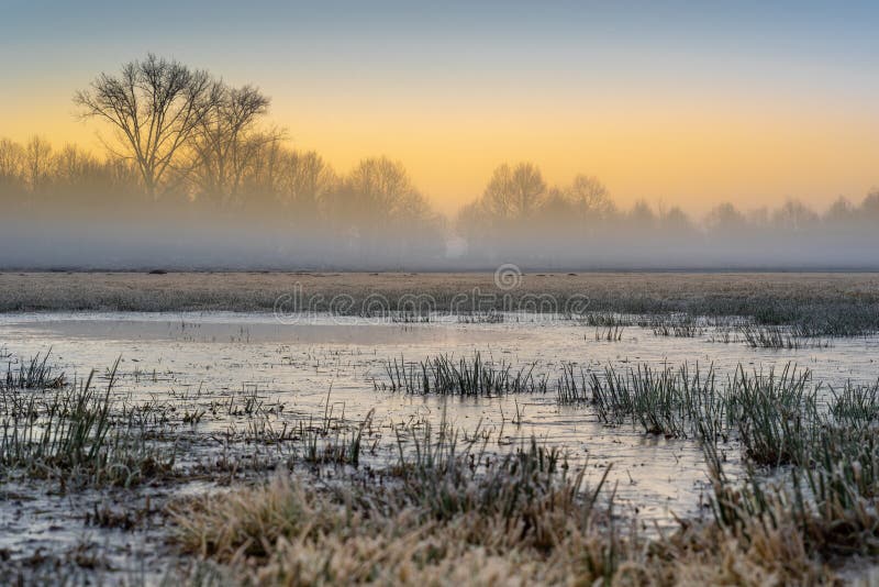 Cold Swamp stock image. Image of environment, land, colorful - 146804995