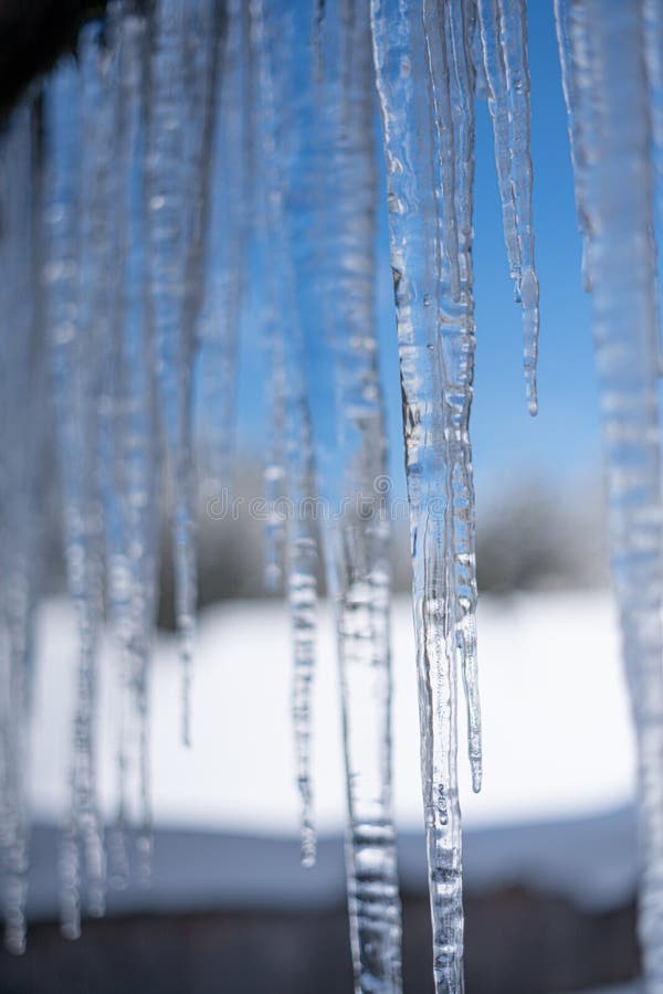 Cold Temperatures Causing Icicles in Winter . Blurred Background Behind ...