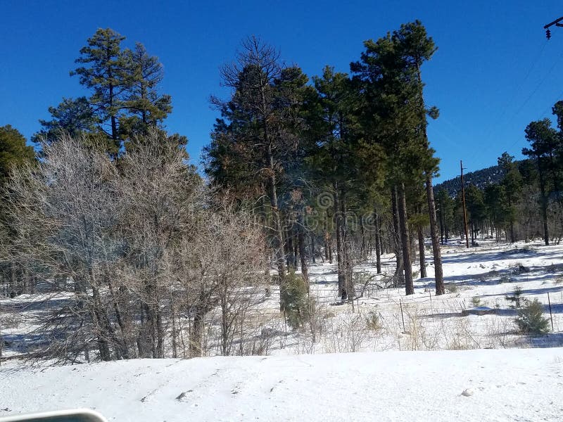 Cold time stock image. Image of cold, snow, grass, tree - 149097993