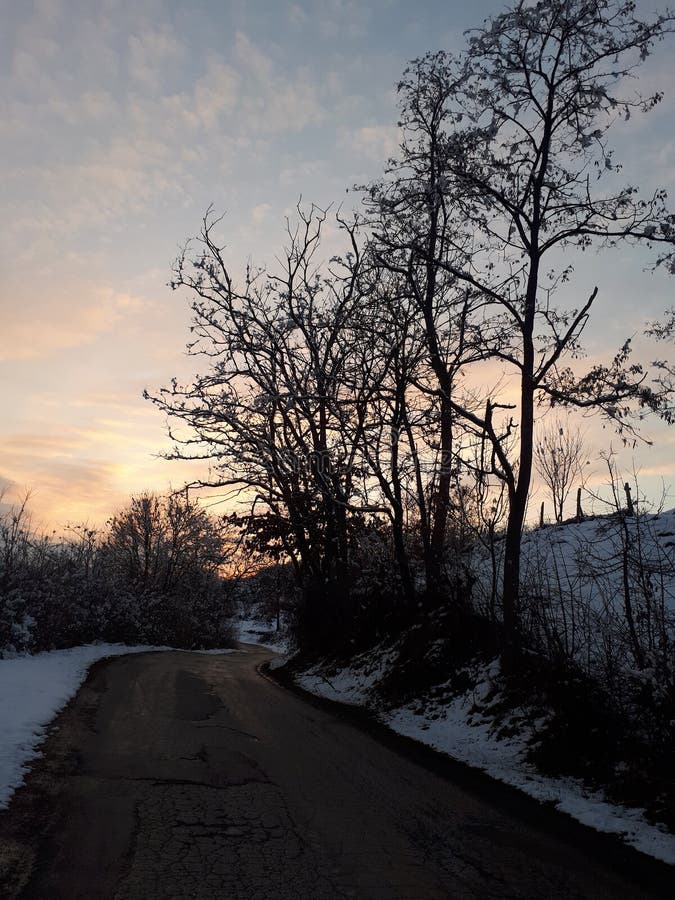 Cold village tree stock image. Image of vill, winter - 219281927