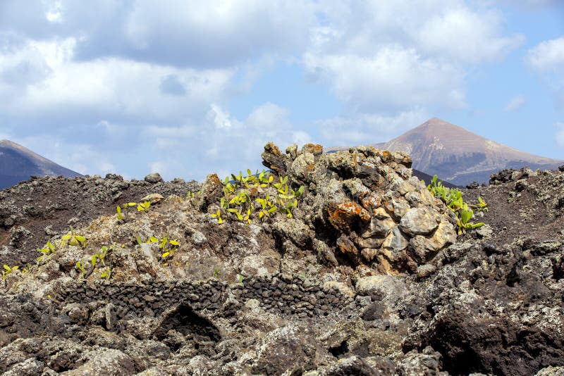 Cold volcanic flow stock image. Image of contrast, black - 58559149