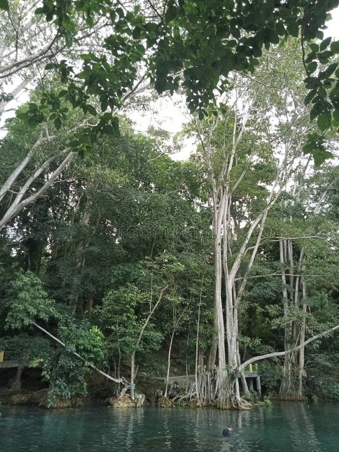 Cold Water Baths with Blue and Cool Water Combined with Green Natural ...