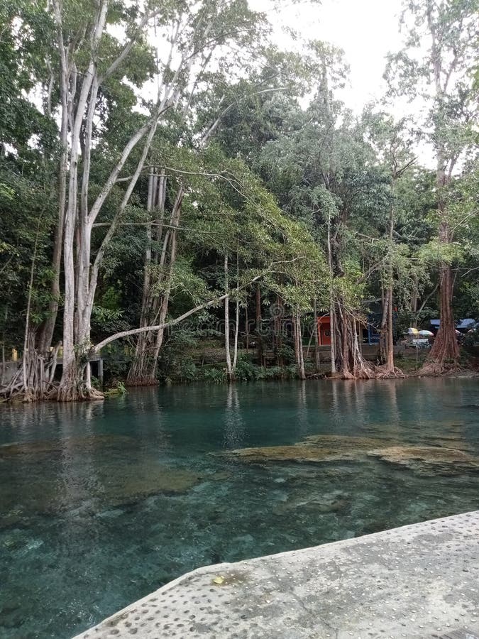 Cold Water Baths with Green Water with Green Natural Views Stock Image ...