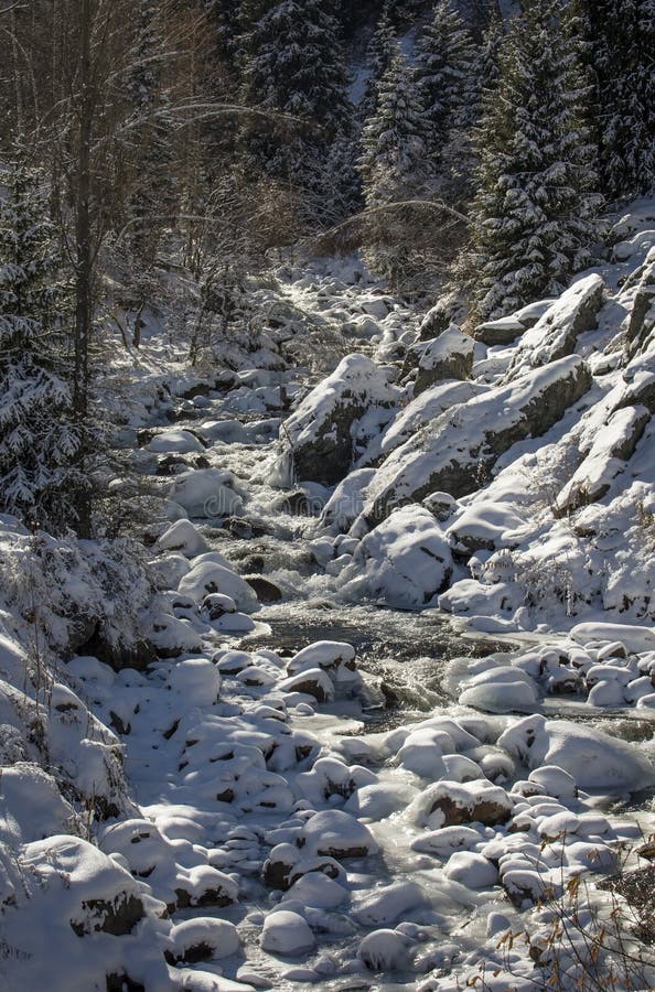 Cold water. stock photo. Image of frost, white, fresh - 131756104