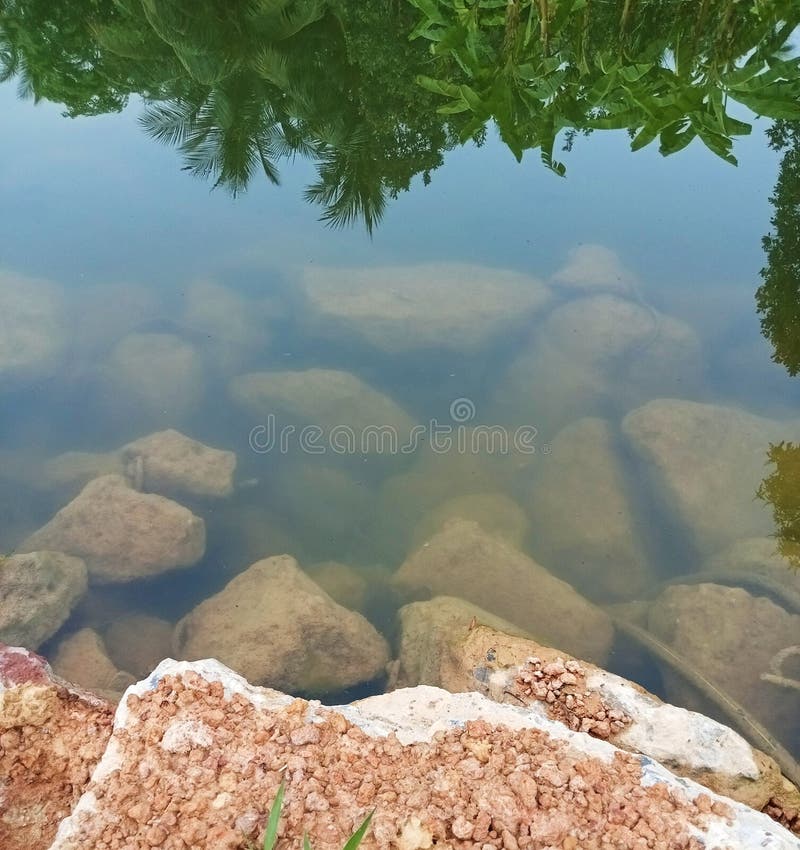 Clearwaterlake stock photo. Image of fresh, cold, nature - 275914290