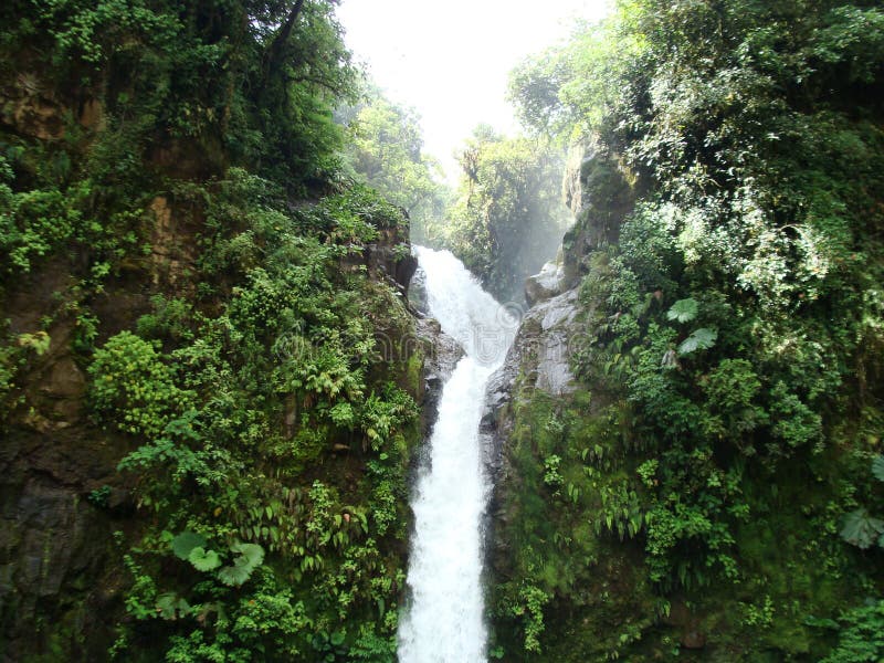 A cold waterfall stock photo. Image of woodland, jungle - 265806192