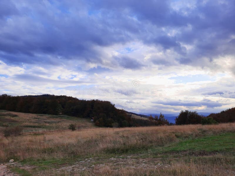 Cold weather in the fall stock photo. Image of grass - 244058602