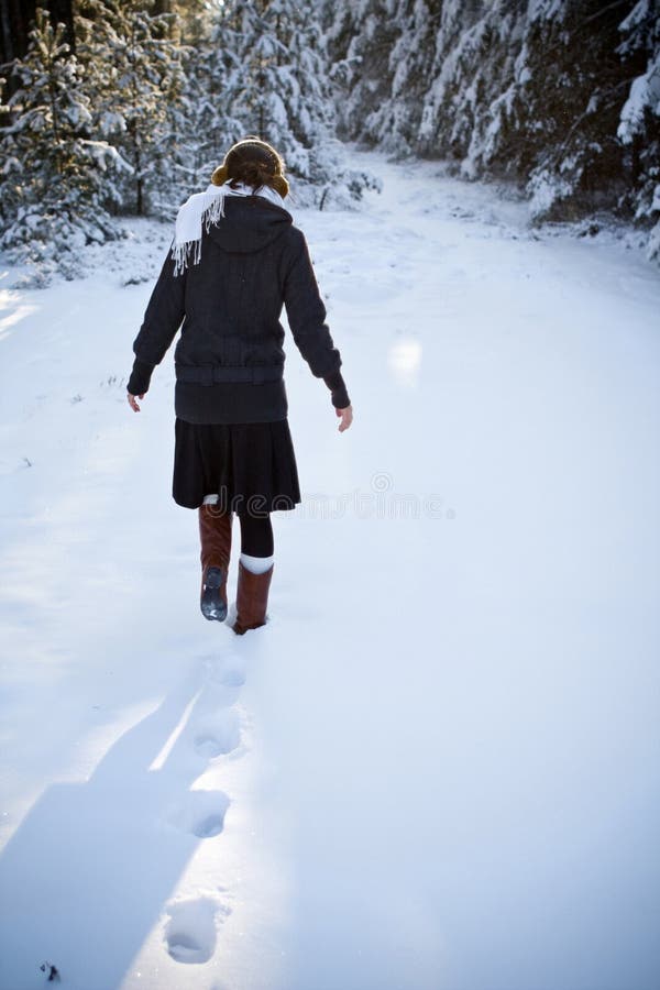 Cold winter stock photo. Image of frost, scene, crystal - 10417272
