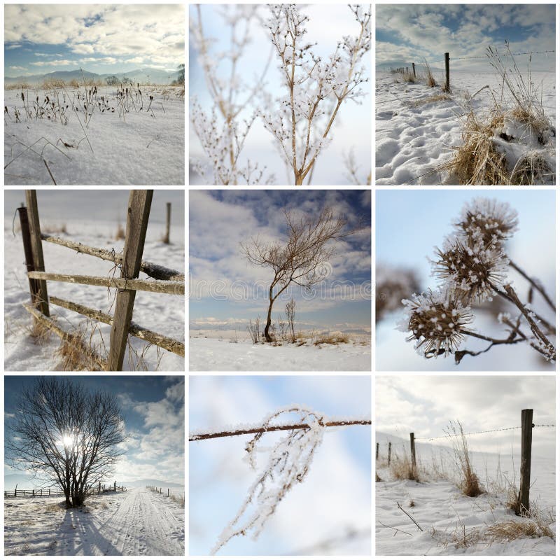 Cold winter collage stock image. Image of frost, hoar - 17714667