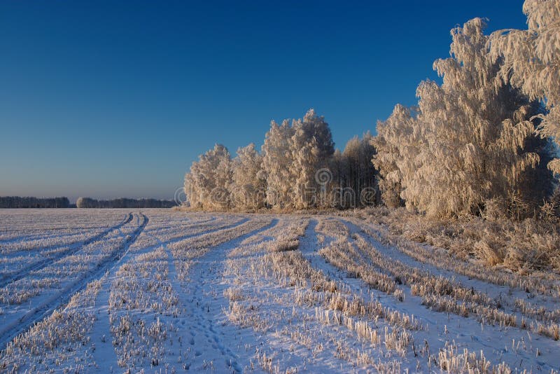Cold winter day stock image. Image of snow, winter, chill - 1356655