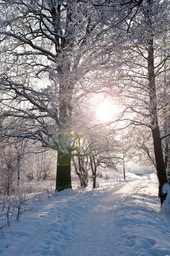 Cold winter day stock image. Image of snow, landscape - 19123595