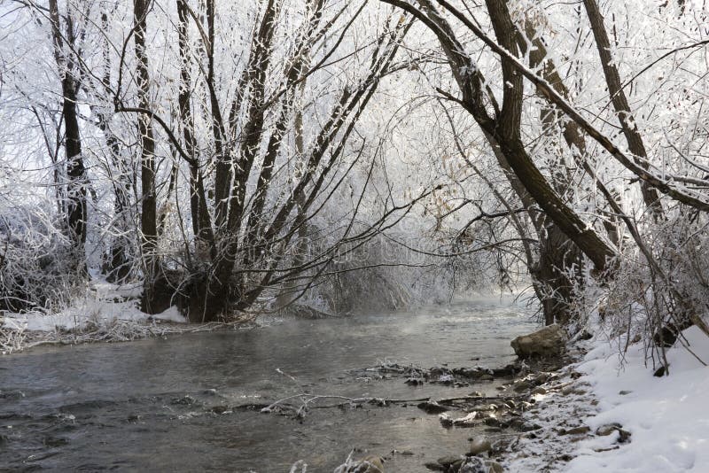 Cold Winter Day stock photo. Image of seasonal, nature - 7853814