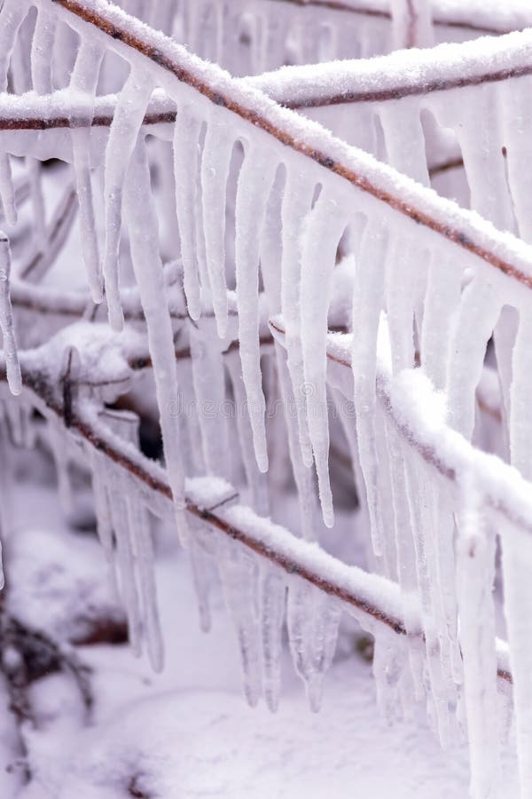 Cold Winter Day with Many Icicle Stock Image - Image of frost, frozen ...