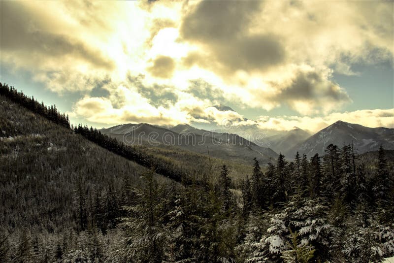Cold, Winter Day in Mt. Rainer National Park, Washington Stock Image ...