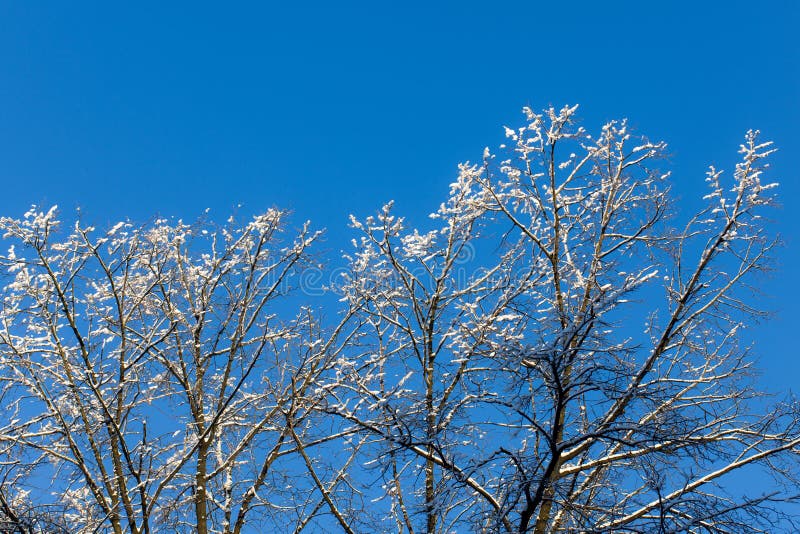 Cold winter day stock image. Image of snow, vibrant, winter - 32960783