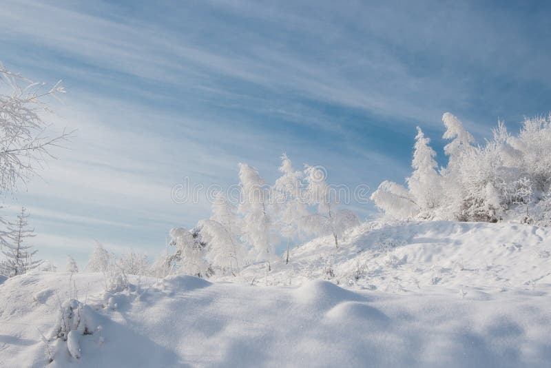 Cold Winter Day, Very Sunny. Stock Photo - Image of season, hoarfrost ...