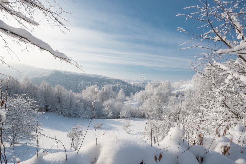 Cold Winter Day, Very Sunny. Stock Photo - Image of illumination ...