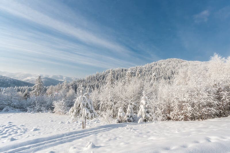 Cold Winter Day, Very Sunny. Stock Photo - Image of illumination ...