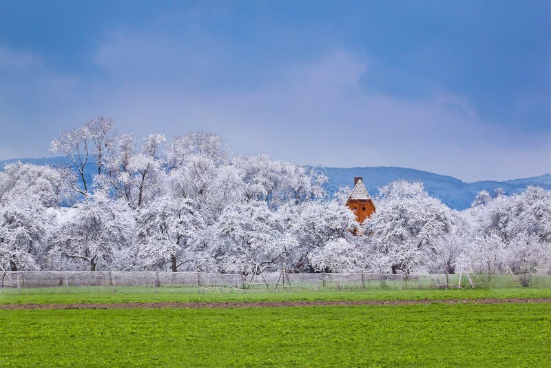 Cold Winter and Hot Summer in One Photo Stock Photo - Image of park ...