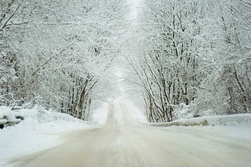 Winter Landscape with Road Surrounded by Trees Stock Photo - Image of ...