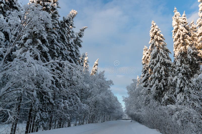Cold and Winter Landscapes with Snow in Russia Stock Image - Image of ...