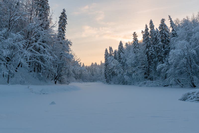 Cold and Winter Landscapes with Snow in Russia Stock Photo - Image of ...