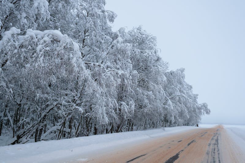 Cold and Winter Landscapes with Snow in Russia Stock Photo - Image of ...