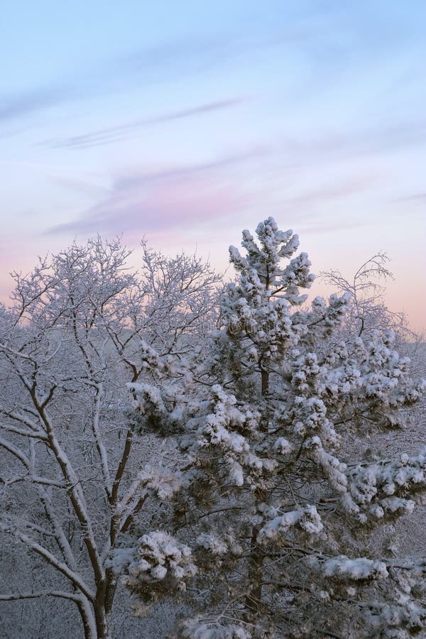 Cold winter morning stock photo. Image of west, frozen - 324116