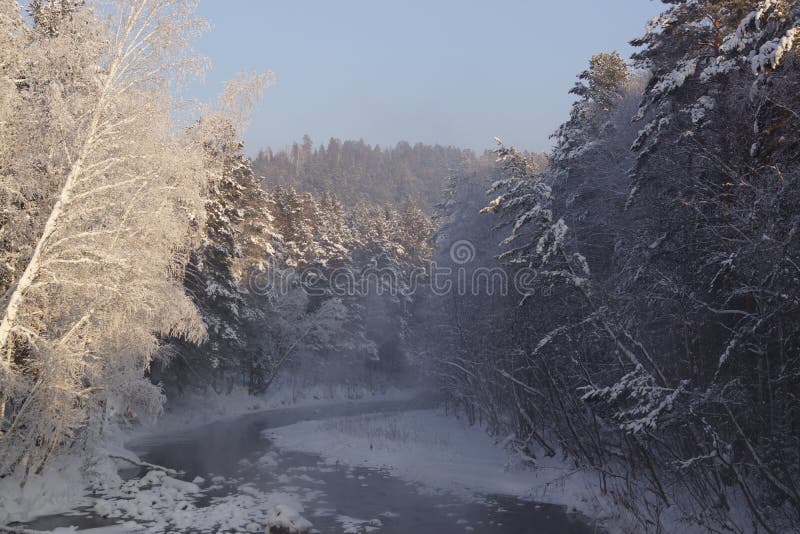 A cold winter morning. stock image. Image of birch, siberia - 85147653